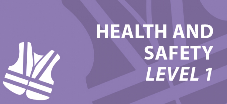 Level 1 Award in the Principles of Health and Safety in the Workplace ...